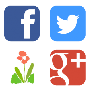 ReseauSocSESEP - SESEP